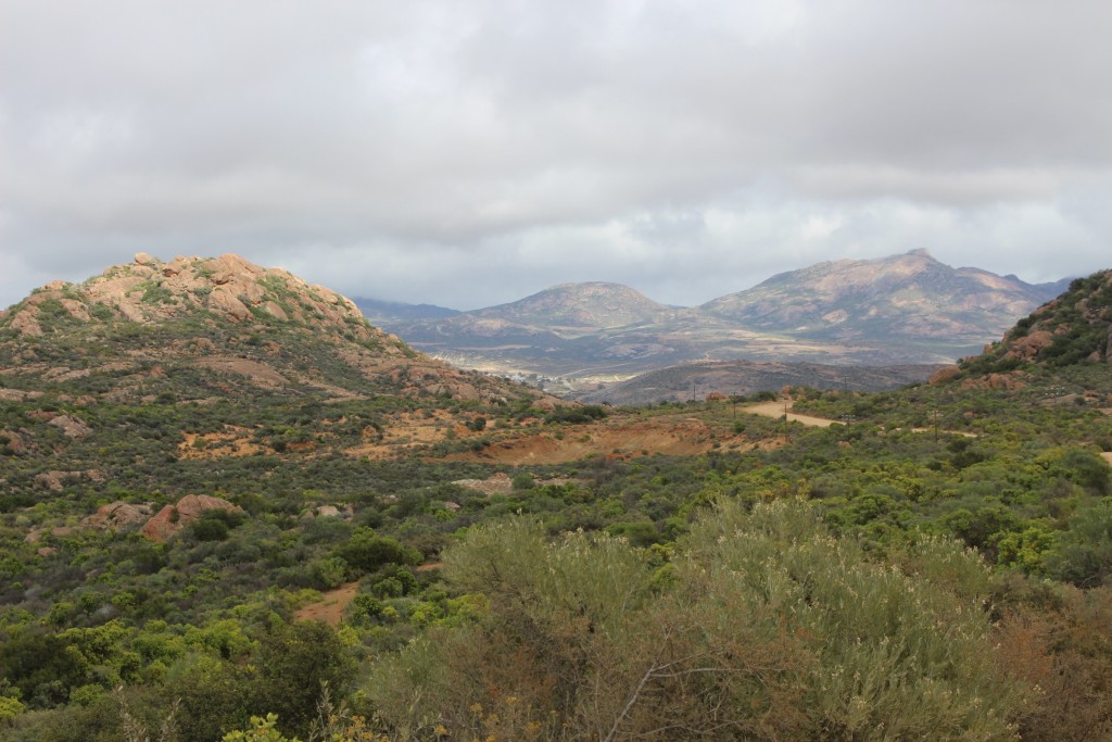 Travel | Leliefontein, Northern Cape | Tulips and Phoenix